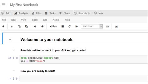 components of the notebook editor—arcgis notebook server documentation for arcgis enterprise