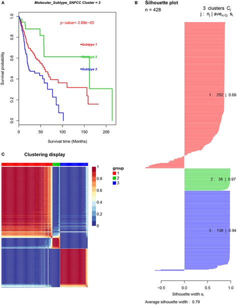 the cancer subtypes using snfcc algorithm a log rank test p value