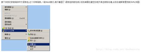 Svn服务器搭建教程 Csdn博客