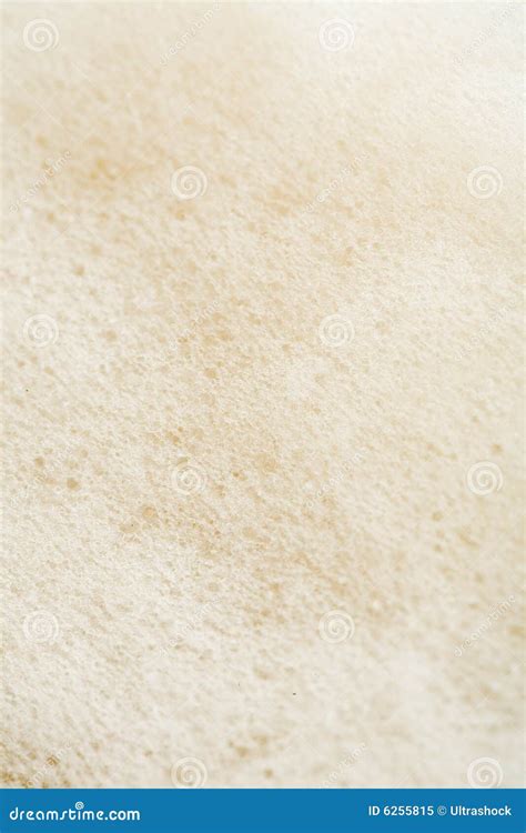 Dark Beer Foam Stock Image Image Of Beer Bubbles Froth 6255815