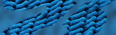 섬유 산업 합성 섬유 및 섬유 첨가제 공급 송원 산업