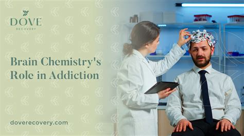 Brain Chemistrys Role In Addiction
