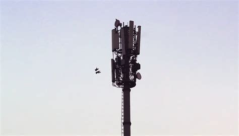 The Power Of Physical Cell Id A Complete 4glte Overview