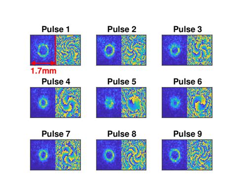 Reconstruction Of 9 Complex Valued Spatial Profiles Of Pulses In A