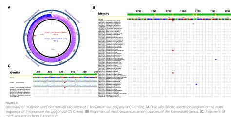 Figure 3 From Dna Barcoding And Comparative Rna Seq Analysis Provide