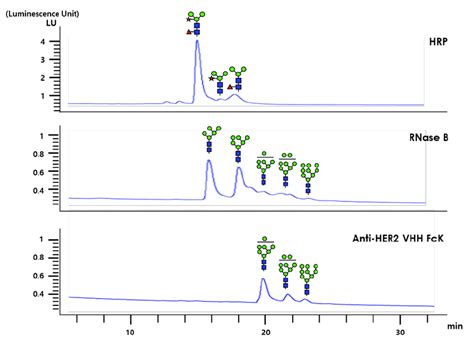 HPLC Analysis For Glycan Structures Of Bovine Pancreas Derived RNase B Download Scientific