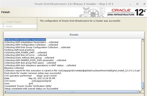 Install 122 Oracle Domain Service Cluster With Virtualbox Env Helmut
