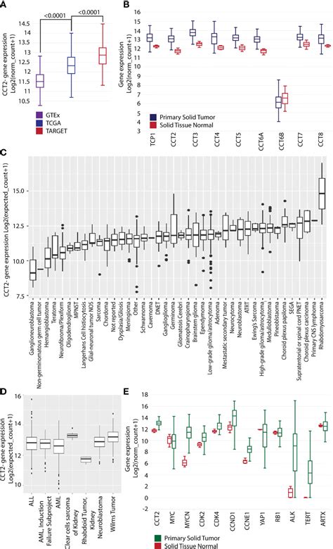 Frontiers Chaperonin Containing Tcp 1 Ccttric Is A Novel