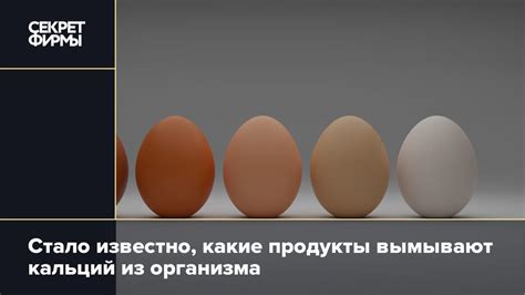 Стало известно, какие продукты вымывают кальций из организма: Здоровье ...