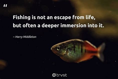 55 Fish Quotes And Sayings Swimming In Inspiration
