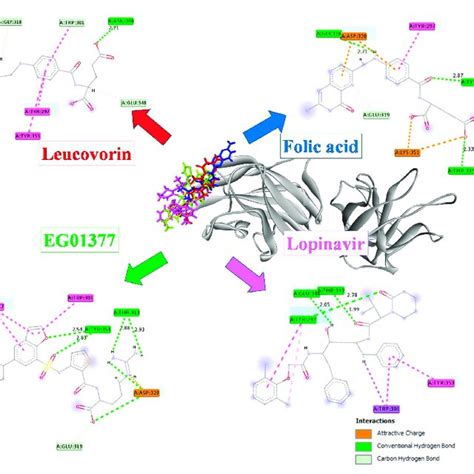 Tested Compounds Binding Modes And Two Dimensional Illustration Of Download Scientific Diagram