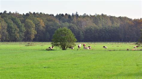 Reiseführer Wedel: 2024 das Beste in Wedel entdecken | Expedia.de