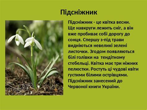 Презентація Збережемо первоцвіти Презентація Збережемо первоцвіти