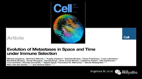 讲座回顾 Phenoptics多色免疫荧光 Mif 在肿瘤微环境的空间分型及临床免疫治疗中的应用 云准医药科技（上海）有限公司