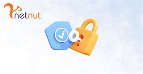 Proxies For Email Protection 5 Methods Netnut Proxy