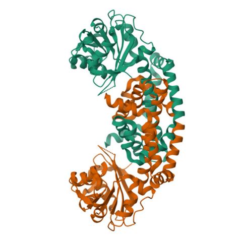 RCSB PDB 8PRU Engineered Form Of T Thermophiles AHIR