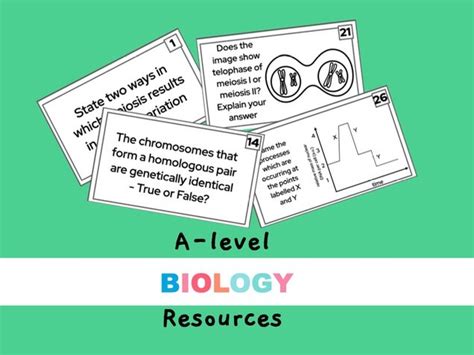 Meiosis A Level Biology Active Recall Flashcard Activity Teaching Resources