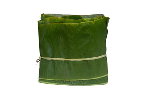 바나나는 포장을 위해 묶인 바나나 로프로 잎을 남기거나 음식을위한 용기를 만듭니다 플라스틱 폐기물을 줄이고 지구 온난화를 줄입니다 흰색 배경에 격리된 클리핑 경로가 포함되어