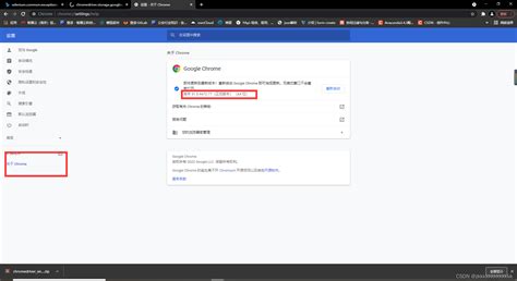 Selenium启动谷歌浏览器时， Chrome版本和chromedriver版本不一致问题解决谷歌浏览器 自动化爬虫无法 Csdn博客