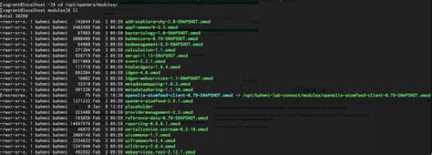 installation problem bahmni on centos 6 7 bahmni openmrs talk