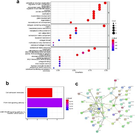 Functional Enrichment Analysis Of The Cerna Network A Go Enrichment Download Scientific