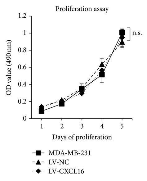 Overexpression Of Cxcl16 Inhibited Migration And Invasion And Promoted Download Scientific