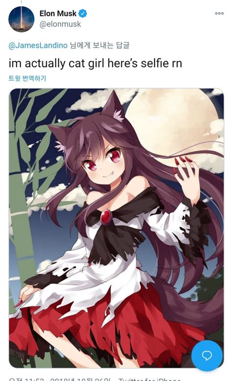 충격 일론 머스크의 정체 유머 움짤 이슈 에펨코리아