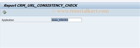 crm url consist chk sap tcode consistency check portal admin