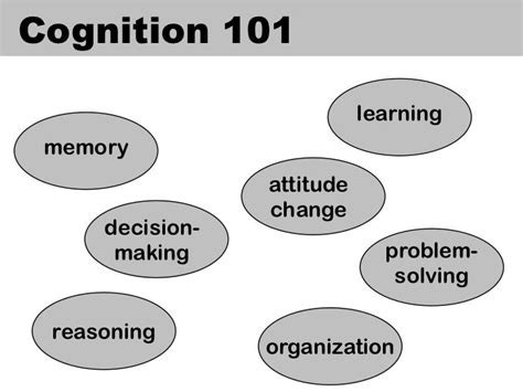 Perception Attention Cognition