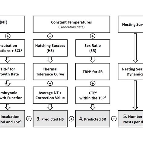 Nesting Activity Hatching Success And Sex Ratio Download Scientific Diagram