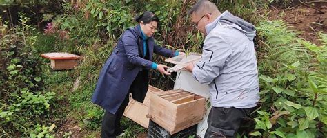 百色市防震减灾服务中心深入挂点联系村开展助力乡村振兴主题文明实践活动茶亭村
