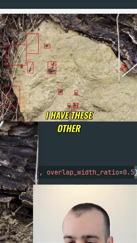 Yolo Object Detection Using Opencv With Python Pysource