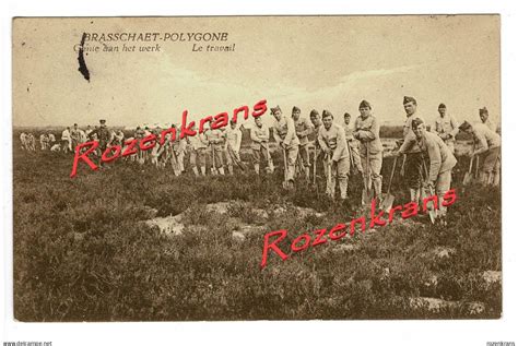 Brasschaat Kamp Van Brasschaat Brasschaet Genie Aan Het Werk Le