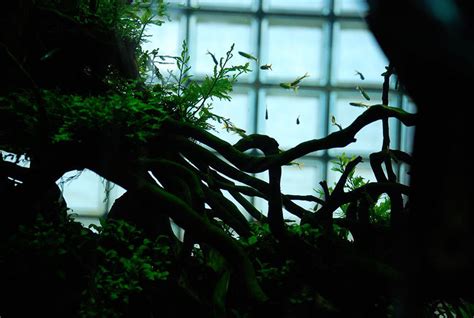 偷 拍 日本ADA展厅 水景堂