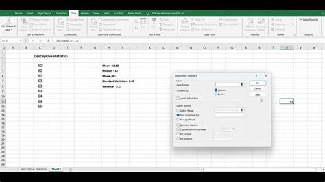 a 9 descriptive stats using excel data analysis toolpak youtube