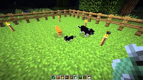 Minecraft Weekly Snapshot 12w04a Taming And Breeding Ocelots Youtube