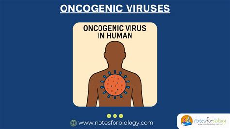 Oncogenic Viruses Best Biology Notes Reference Articles