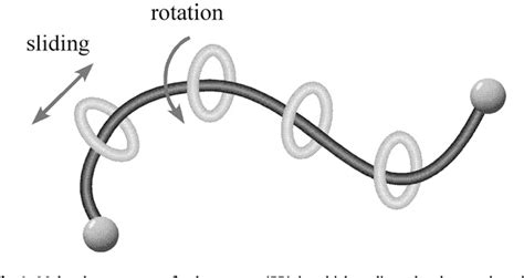 Figure 1 From Structure And Dynamics Of Polyrotaxane And Slide Ring