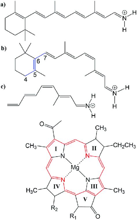 Top A All Trans Retinal B 6 S Cis 11 Cis Retinal In Blue Download Scientific Diagram