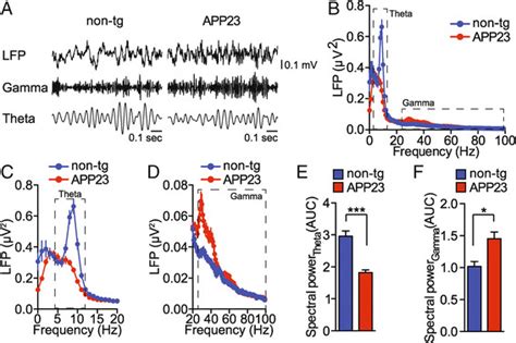 Reduced Theta And Increased Gamma Spectral Power In App23 Mice A Raw