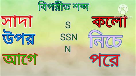 শিশুদের জন্য কিছু বিপরীত শব্দ । সহজে মনে রাখার মত কিছু বিপরীত শব্দ।।আগে পরে উপর নিচে । Youtube