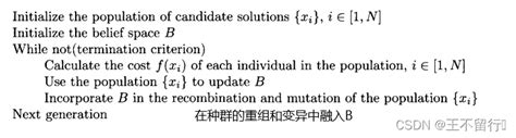进化算法——文化算法 Csdn博客