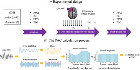 Human Brain Mapping Neuroimaging Journal Wiley Online Library