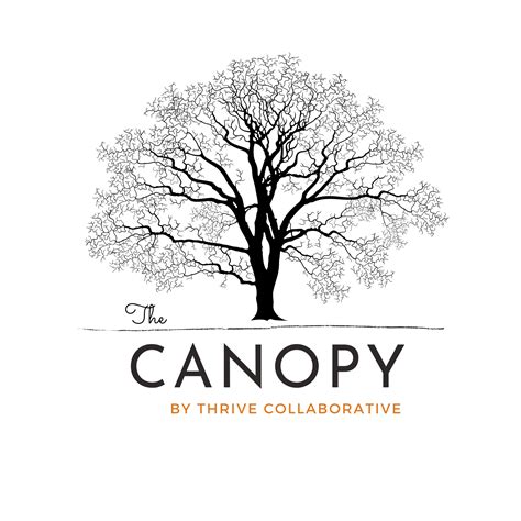 Thrive Collaborative Development