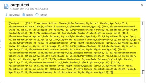 Lookup Activity Output Read Custom Activity And Generate Output Txt File Microsoft Qanda