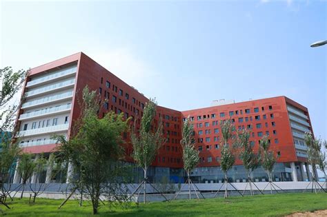 沈阳医大尚红的儿子马晓伟尚红医大尚红家庭第6页大山谷图库