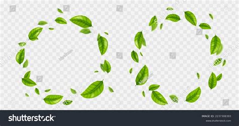 Set Round Green Leaves Frame Png Stock Vector Royalty Free 2237308393 Shutterstock