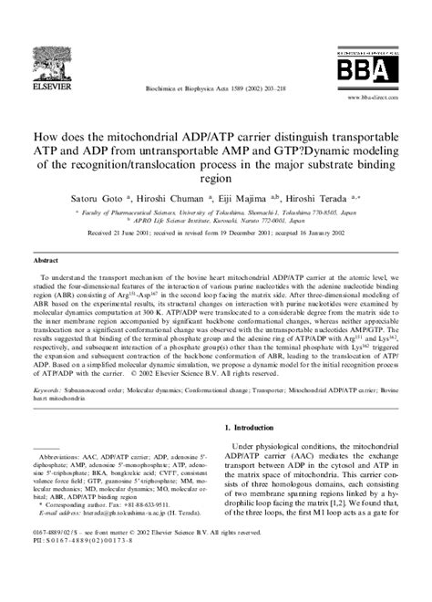 Pdf How Does The Mitochondrial Adpatp Carrier Distinguish Transportable Atp And Adp From