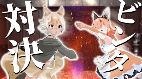 ビンタしあうコヨーテとカラカルけもV切り抜き カラカル コヨーテ VTuber 薔薇と椿 お豪華絢爛版 YouTube