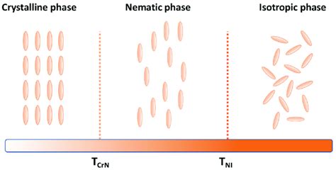 Phase Transition Behavior For A Nematic Lc With An Increase In